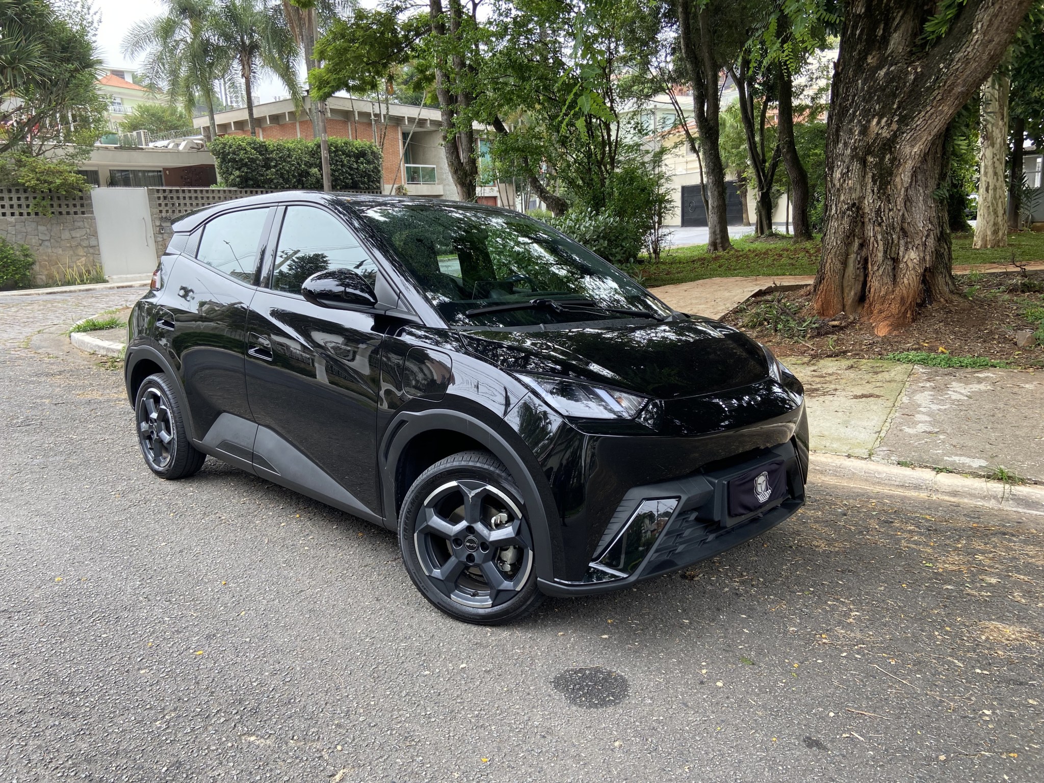 BYD DOLPHIN MINI: testamos a versão elétrica de entrada – Garagem do ...